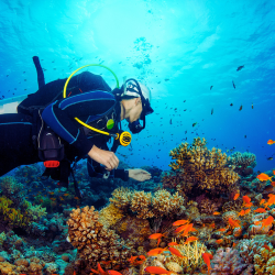 Dive into History: Exploring the MUSA Underwater Museum in Isla Mujeres ...